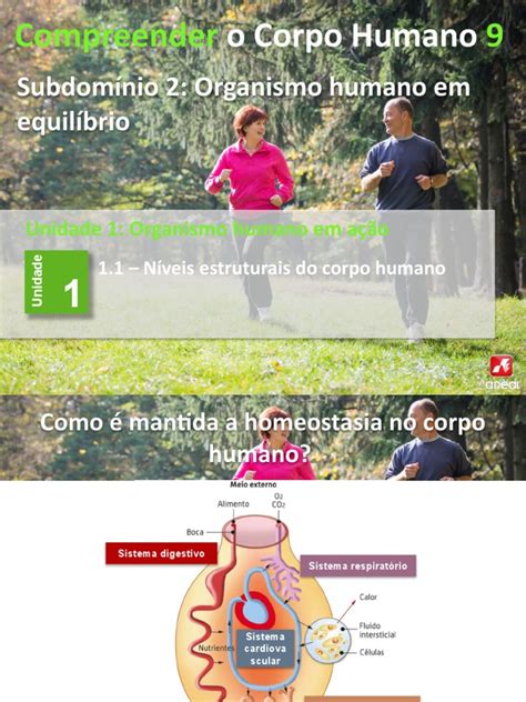 Níveis De Organização Biológica Cn9 Download Grátis Pdf Corpo