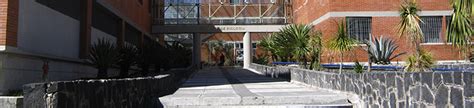 Ibunam Instituto De Biología Unam