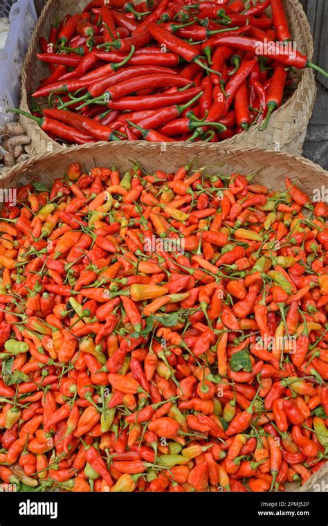 Different Varieties Of Red Chilli Peppers Capsicum At A Market In
