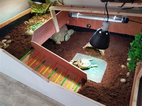 Tortoise Table Imgur Tortoise House Tortoise Table Turtle Table