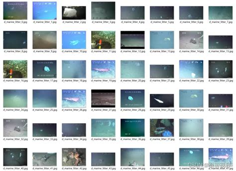 目标检测数据集 海洋垃圾检测数据集下载「包含voc、coco、yolo三种格式」wx621f3bb1e27ee的技术博客51cto博客