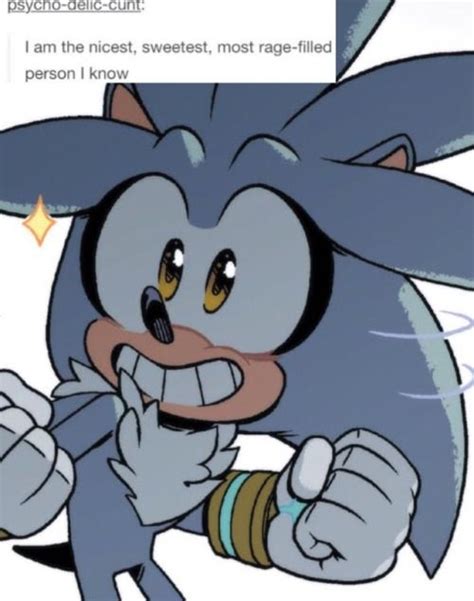 Image Result For Silver The Hedgehog Silver The Hedgehog Hedgehog Sonic
