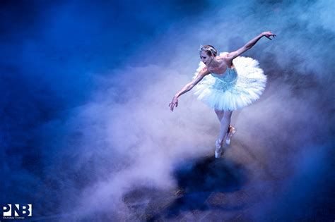 O Lago dos Cisnes Agenda de Dança