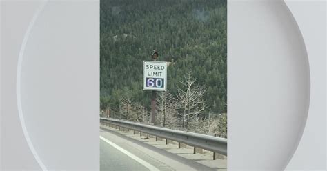 Cdot Launches Variable Speed Limit Signs On Eastbound I 70 Between