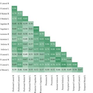 Correlation Heat Map Values Report Pearson S Correlation Coefficient