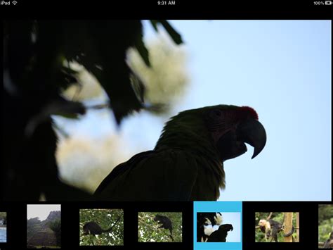 Netadvantage For Ios Native Ipad And Iphone Controls For Apps