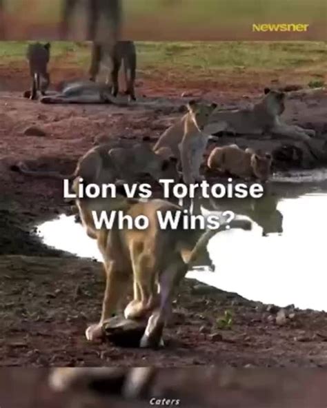 Runali Basak On Linkedin Something So Inspirational And Motivational Never Ever Feel