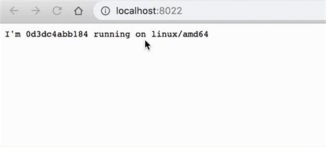 Server Template And Srv With Multiple Local Servers With Different Ports Help Haproxy Community