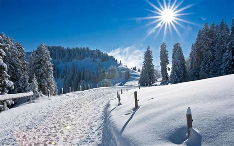 Winter Screensavers And Wallpaper 60 Pictures Wallpaperset