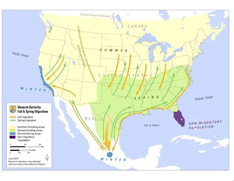 Monarch Butterfly Fall Migration