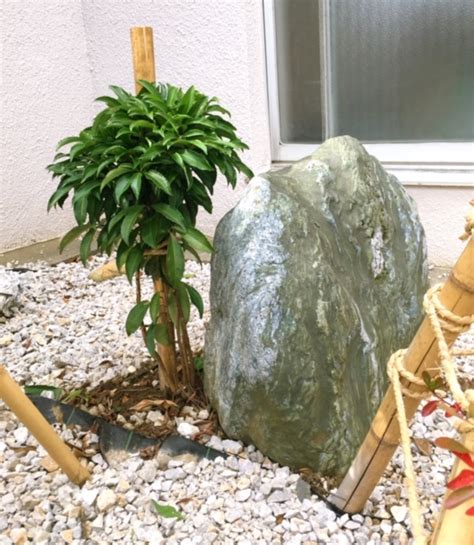 冬囲い 株式会社春陽堂薬房
