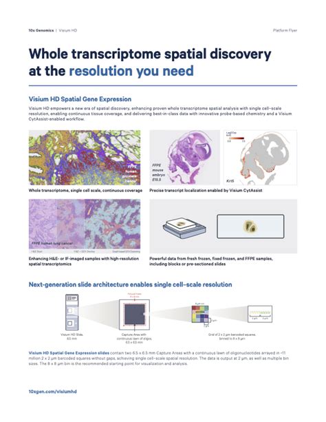 Visium Hd Whole Transcriptome Spatial Discovery At The Resolution You Need 10x Genomics