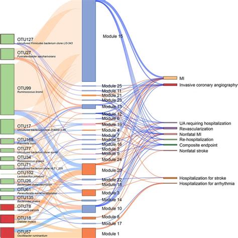 Multi Omics Analysis Illustrates The Interrelationship Between