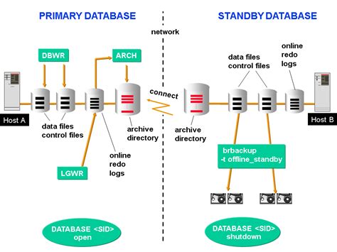 Standby Database Brbackup Backup Of Database Files