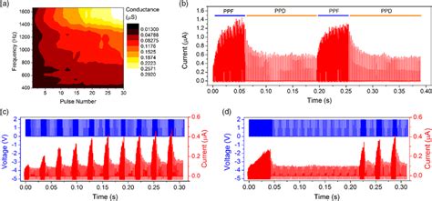 Frequencydependent Plasticity Of The PTCM A Frequency And Pulse