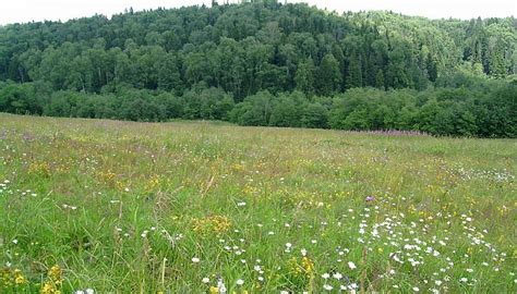 Земельные участки от 16 до 18 соток УК «Зеленцино