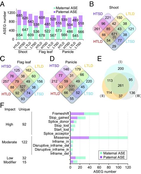 Patterns Of Genome Wide Allele Specific Expression In Hybrid Rice And The Implications On The