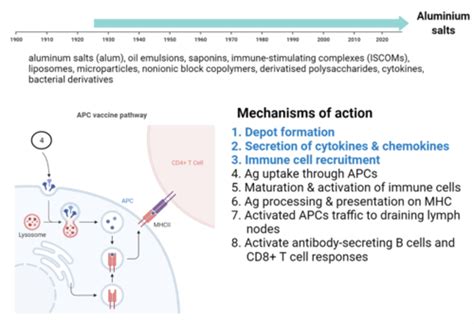 Different Types Of Vaccine Flashcards Quizlet