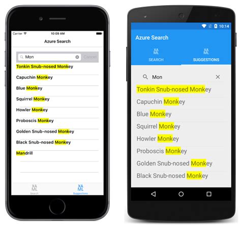 Azure Search と Xamarinforms を使用してデータを検索する Xamarin Microsoft Learn
