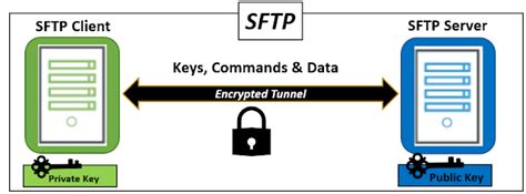 Ftps Vs Sftp Which One Is Right For You The Network Dna
