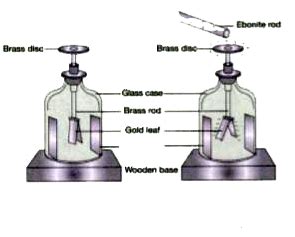Draw A Labelled Diagram Of A Gold Leaf Electroscope