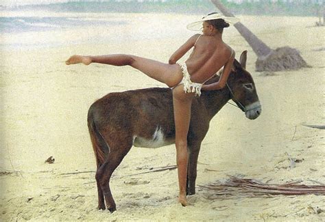 Poplar And Inspirations Photo