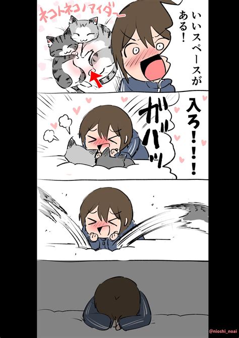 「猫と猫の間に入る話 漫画が読めるハッシュタグ 猫」野愛におしの漫画