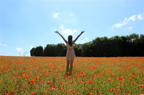 Amys Adventures Across The Atlantic Frolicking In A Field Of Flowers