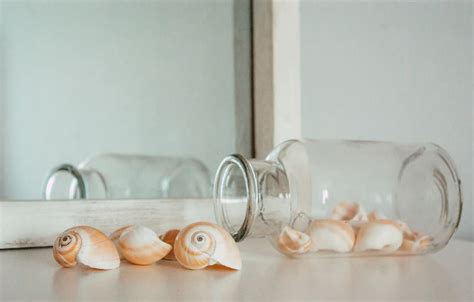 Vases With Shells In The Interior Design 40 Inspirational Ideas My
