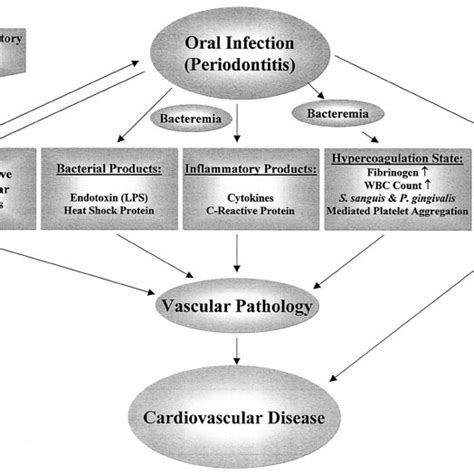 Pdf Systemic Diseases Caused By Oral Infection