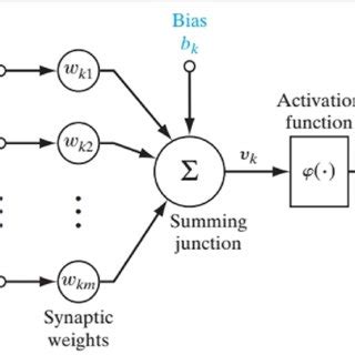 A Single Layer Neural Network Perceptron Download Scientific Diagram