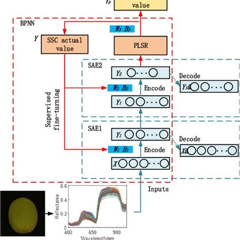structure of the sparse autoencoder partial least squares regression download scientific