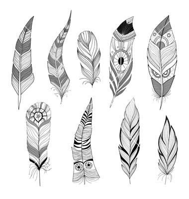 Indian Feathers Drawing At Explore Collection Of
