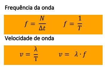O que cai na primeira fase da FUVEST Professor Pinguim Física