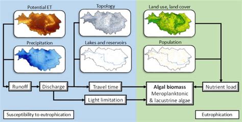 Structure Of The Simplified River Network Eutrophication Model Download Scientific Diagram