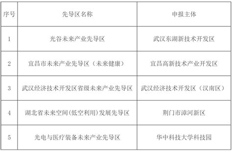 湖北公布首批省级未来产业先导区认定培育名单光谷未来产业先导区入选