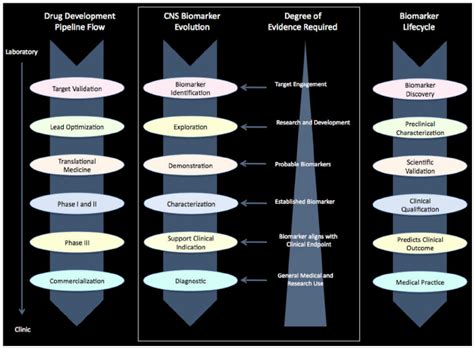 Biomarker Development Download Scientific Diagram