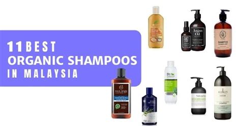 Sls Free Shampoo Malaysia Fundacionfaroccr