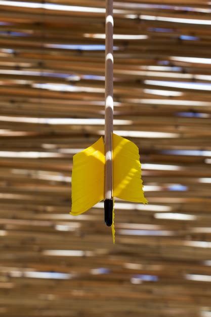 Premium Photo Old Style Old Wooden Arrows