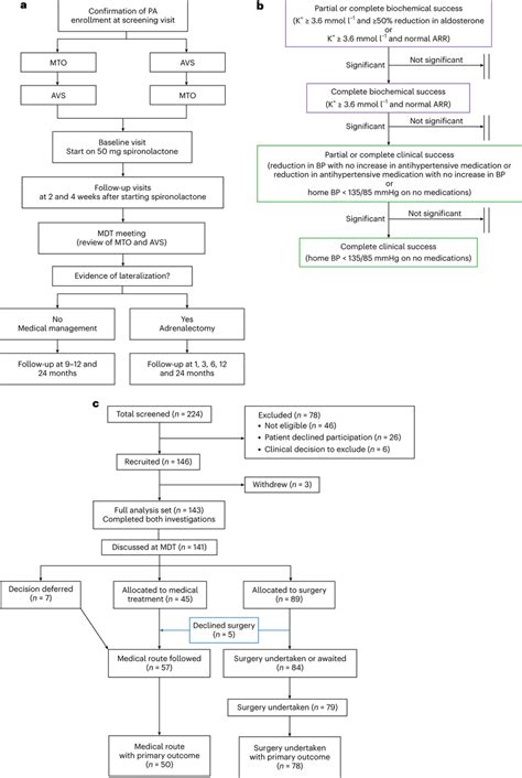 Study Outline Hierarchical Co Primary Endpoints And CONSORT Diagram A