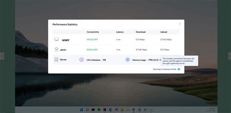 Performance Statistics Network Diagnostics Tool Remote Access Plus