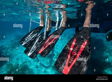 People Relaxing On The Dive Platform Of A Boat Stock Photo Alamy