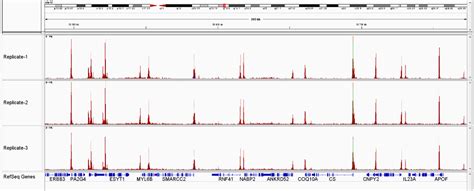 Atac Seq Kit For Open Chromatin Assessment C01080001 Diagenode