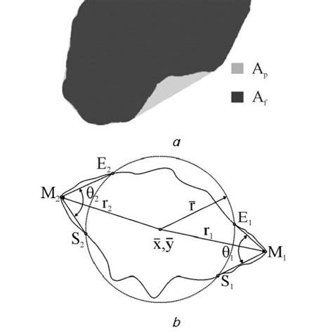 plans for calculating the shape parameters a convexity c [2] b