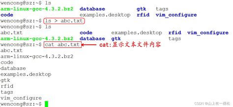 Linux常用命令实验报告linux命令报告 Csdn博客