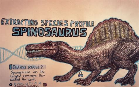 Extracting Species Profile Spinosaurus This Spino Is Bipedal The
