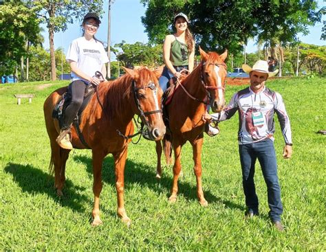Oficina De Esportes Equestres Encanta Curiosos E Aficionados Por Animais O Perobal