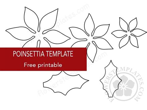 Free Poinsettia Template At A Glance