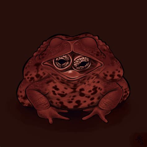 Mutant Toad By Fancyrook On Deviantart