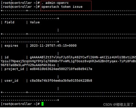 【openstack Train安装】六、keystone安装 Csdn博客